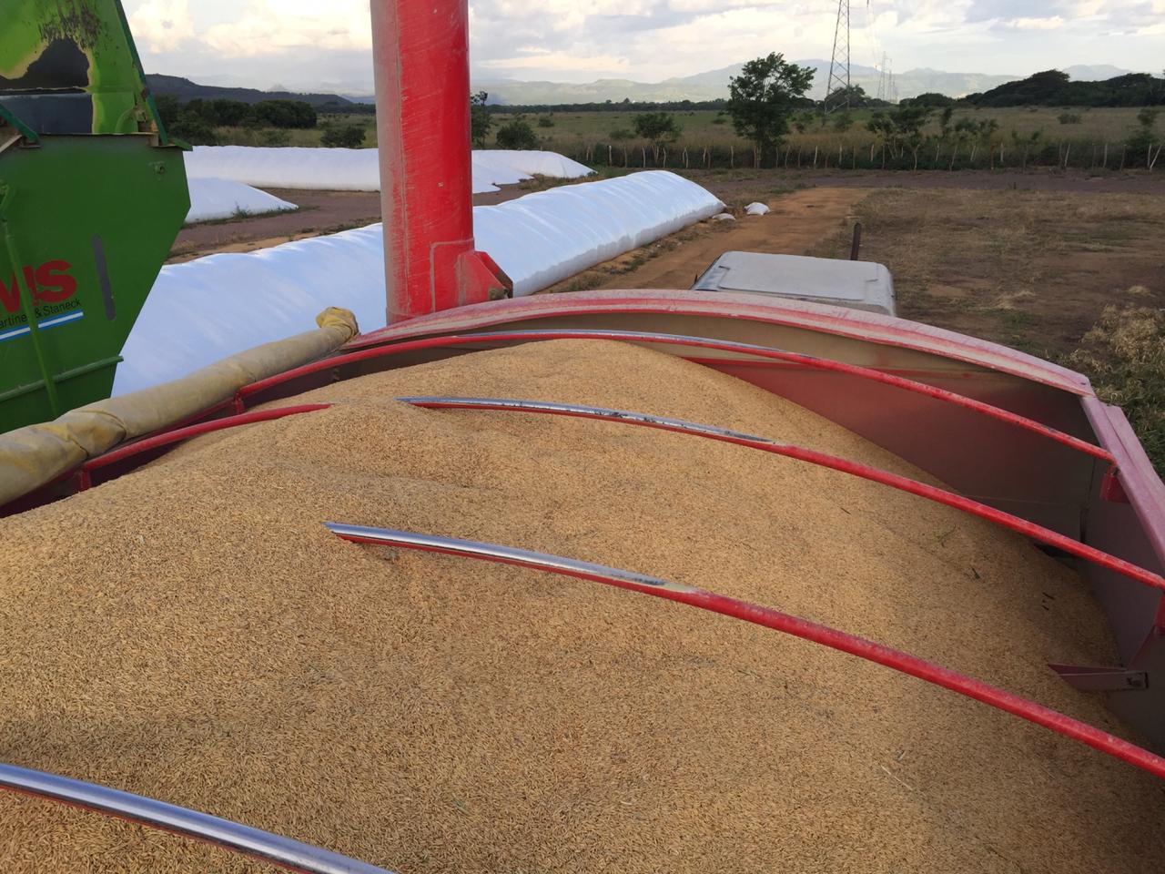 Nosotros – SAMUEL MANSELL S.A