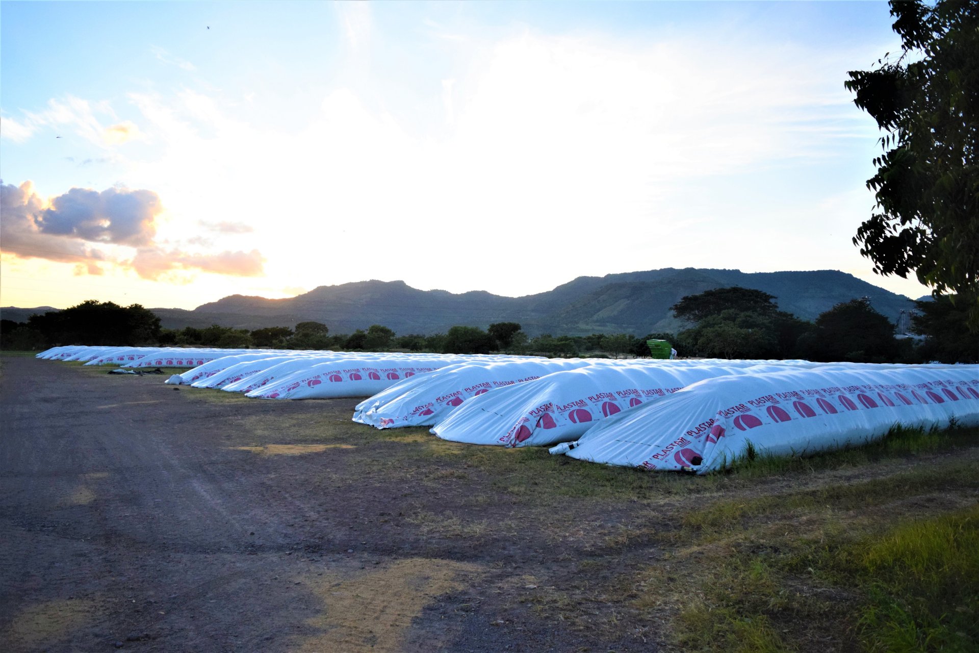 SAMUEL MANSELL S.A – Empresa Productora y Distribuidora de Arroz en ...