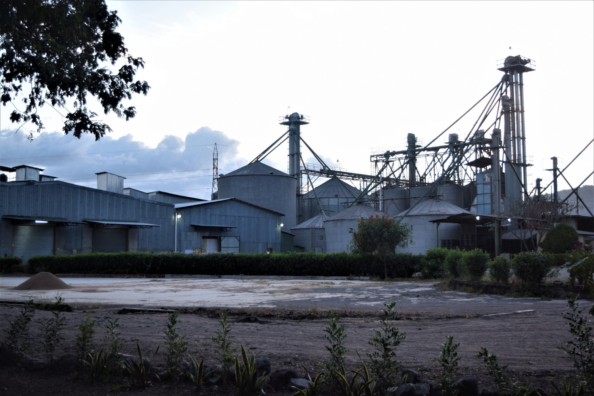 SAMUEL MANSELL S.A – Empresa Productora y Distribuidora de Arroz en ...